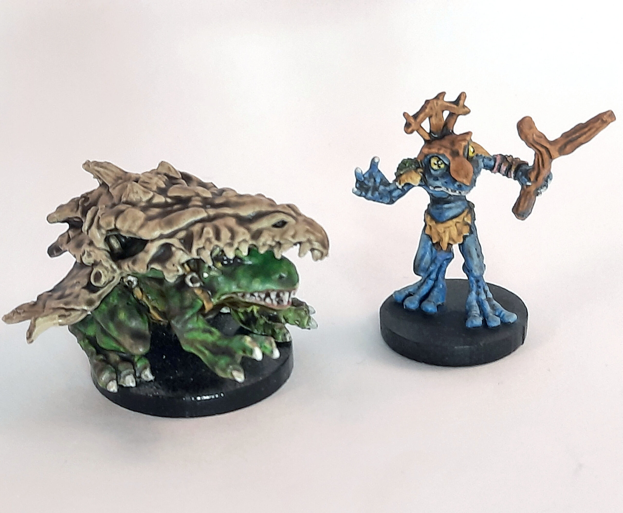 Frogoid Shaman and Giant Frog Companion Thibbit - Dark Platypus